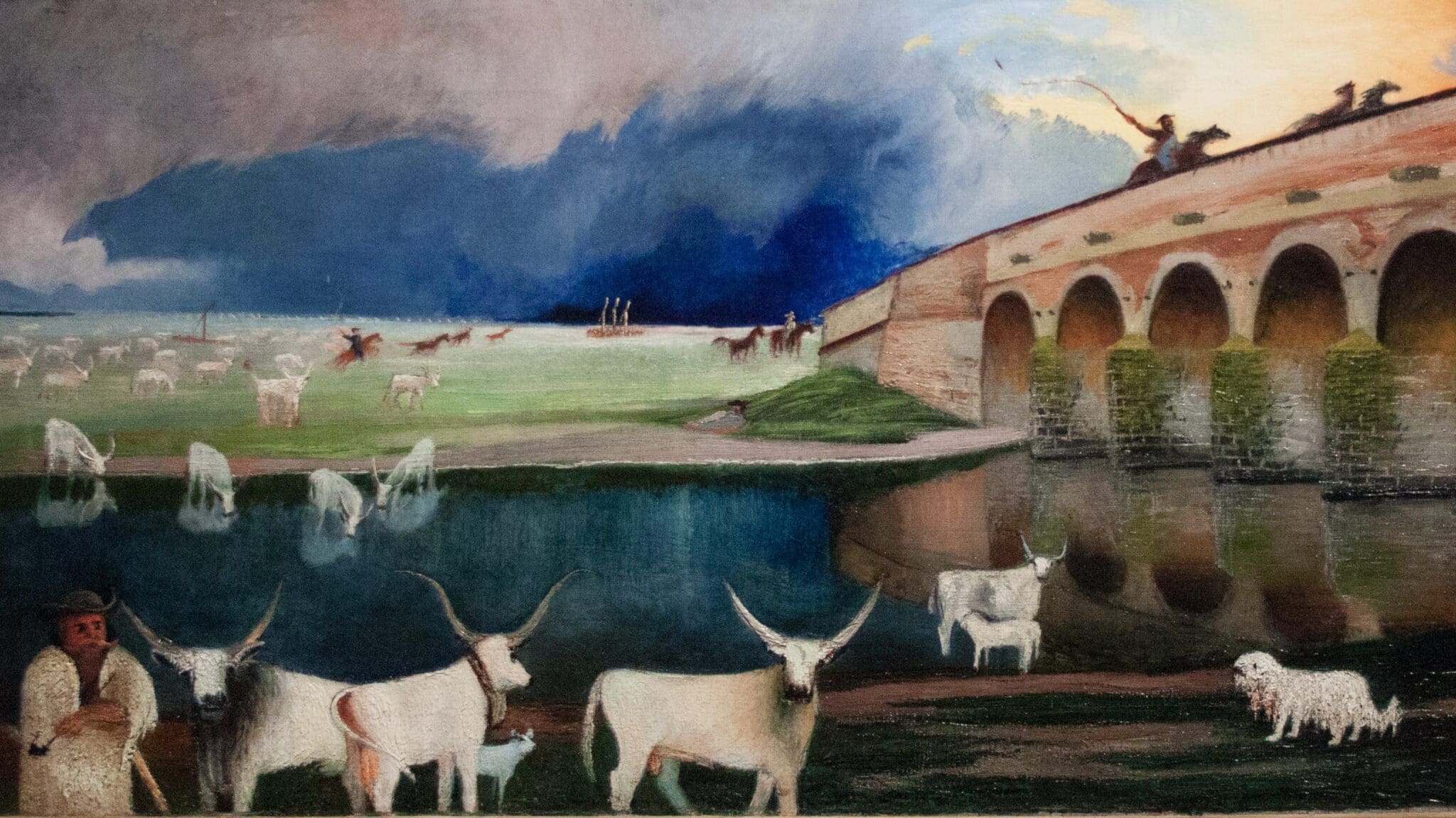 The Puli, the Mangalica and Other World-Famous Hungarian Domesticated ...